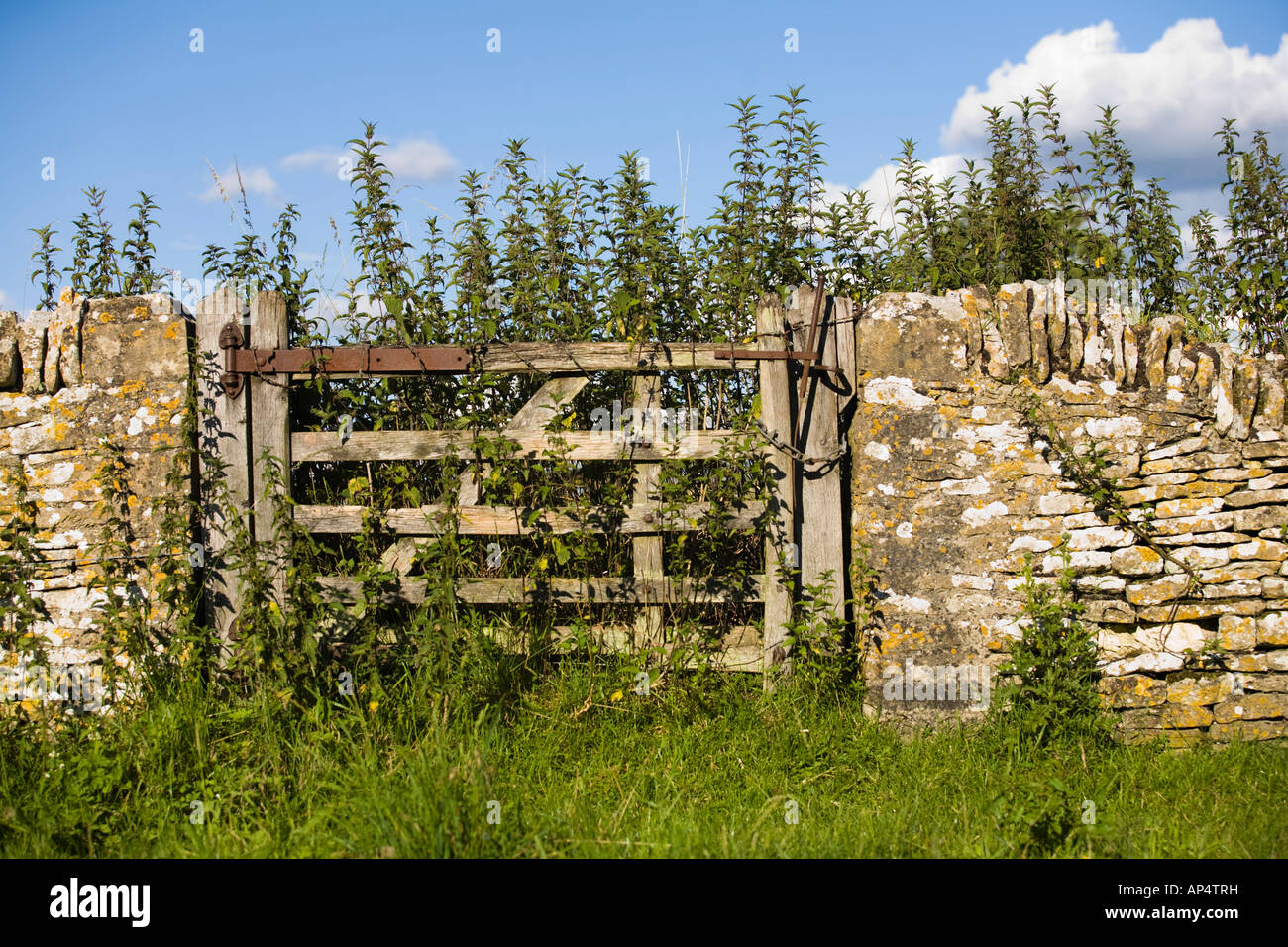Dry stone wall gate hi-res stock photography and images - Alamy