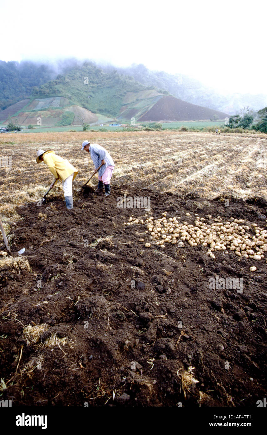 Native american digging hi-res stock photography and images - Alamy