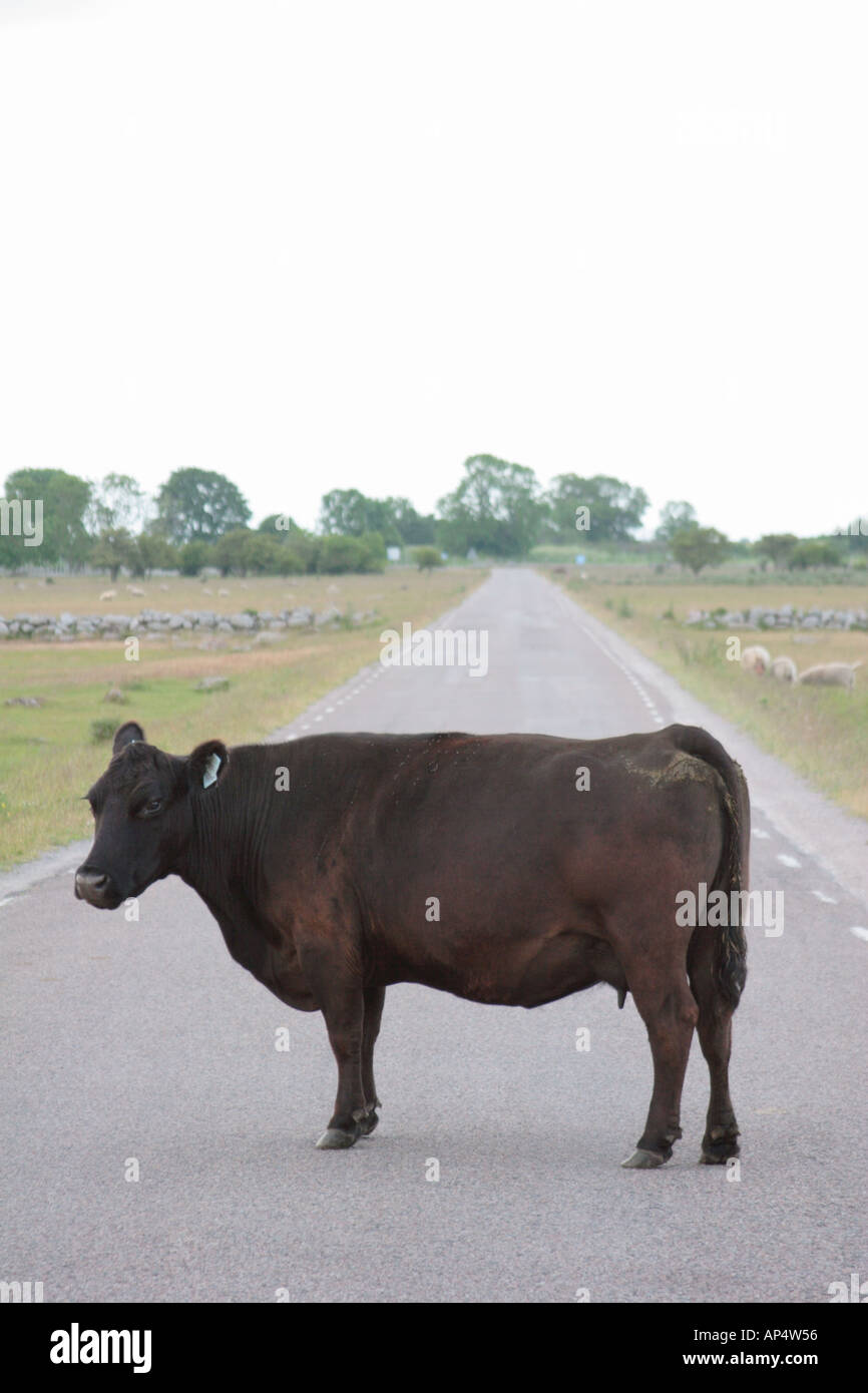 Obstacle impediment obstruction roadblock hi-res stock photography and ...