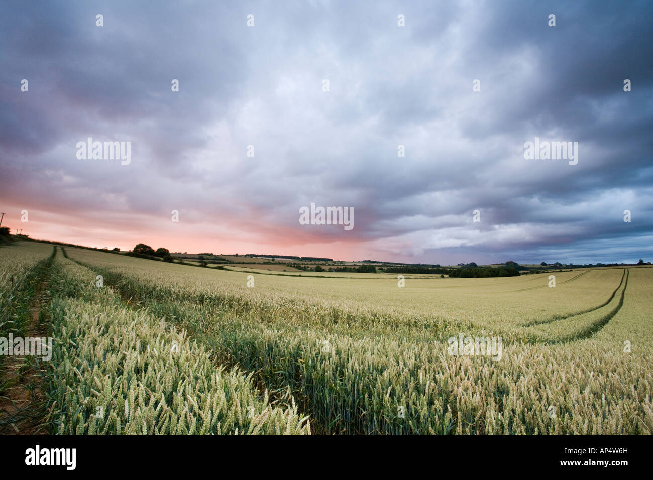 Severe weather floods hi-res stock photography and images - Alamy