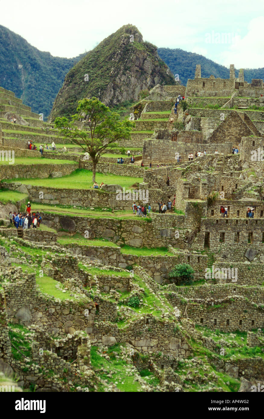 South America, Peru: Machu Picchu, Incan ruins Stock Photo - Alamy