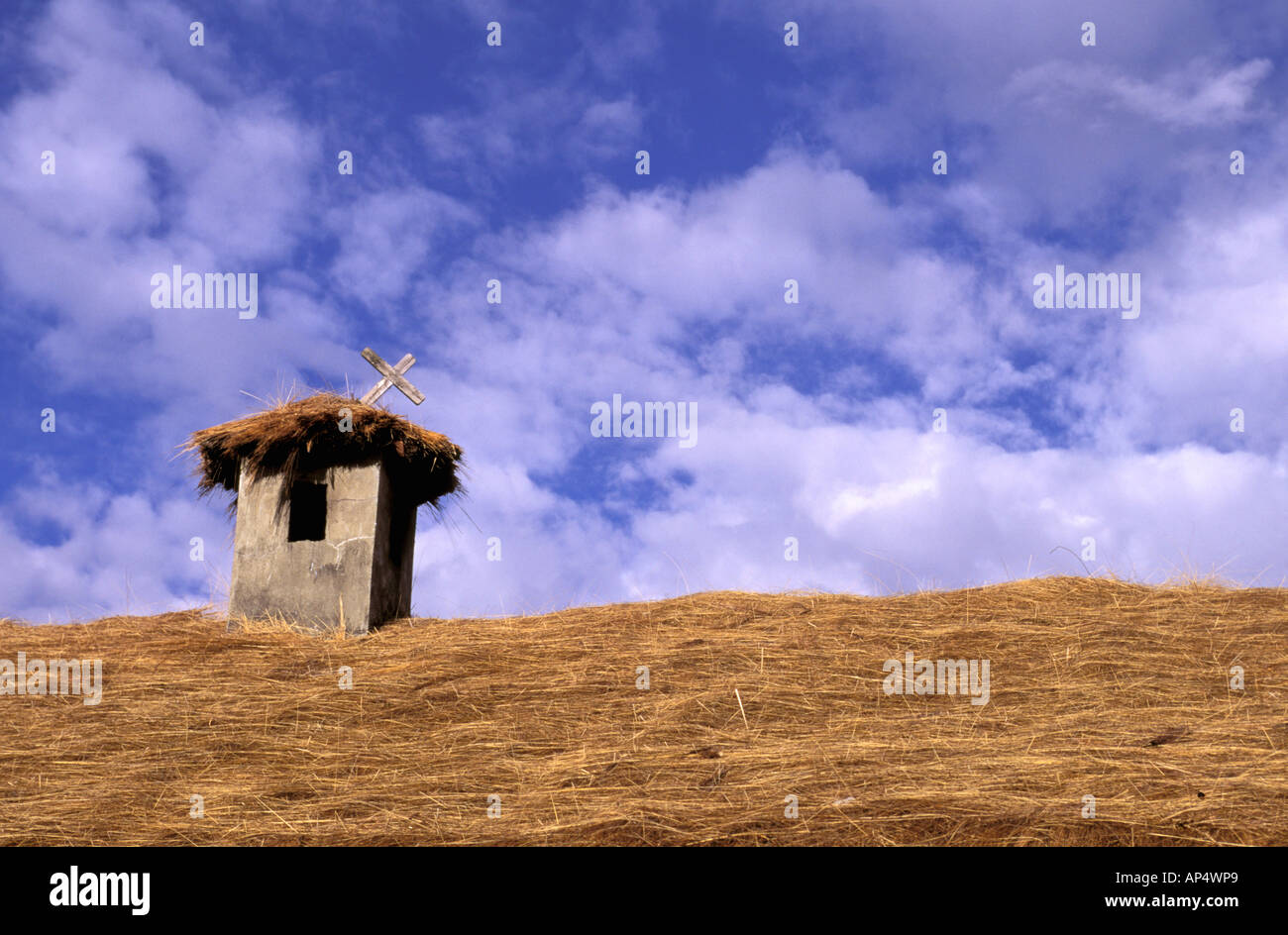 South America, Peru, Manu National Park, Cloud Forest. Refuge at tres ...