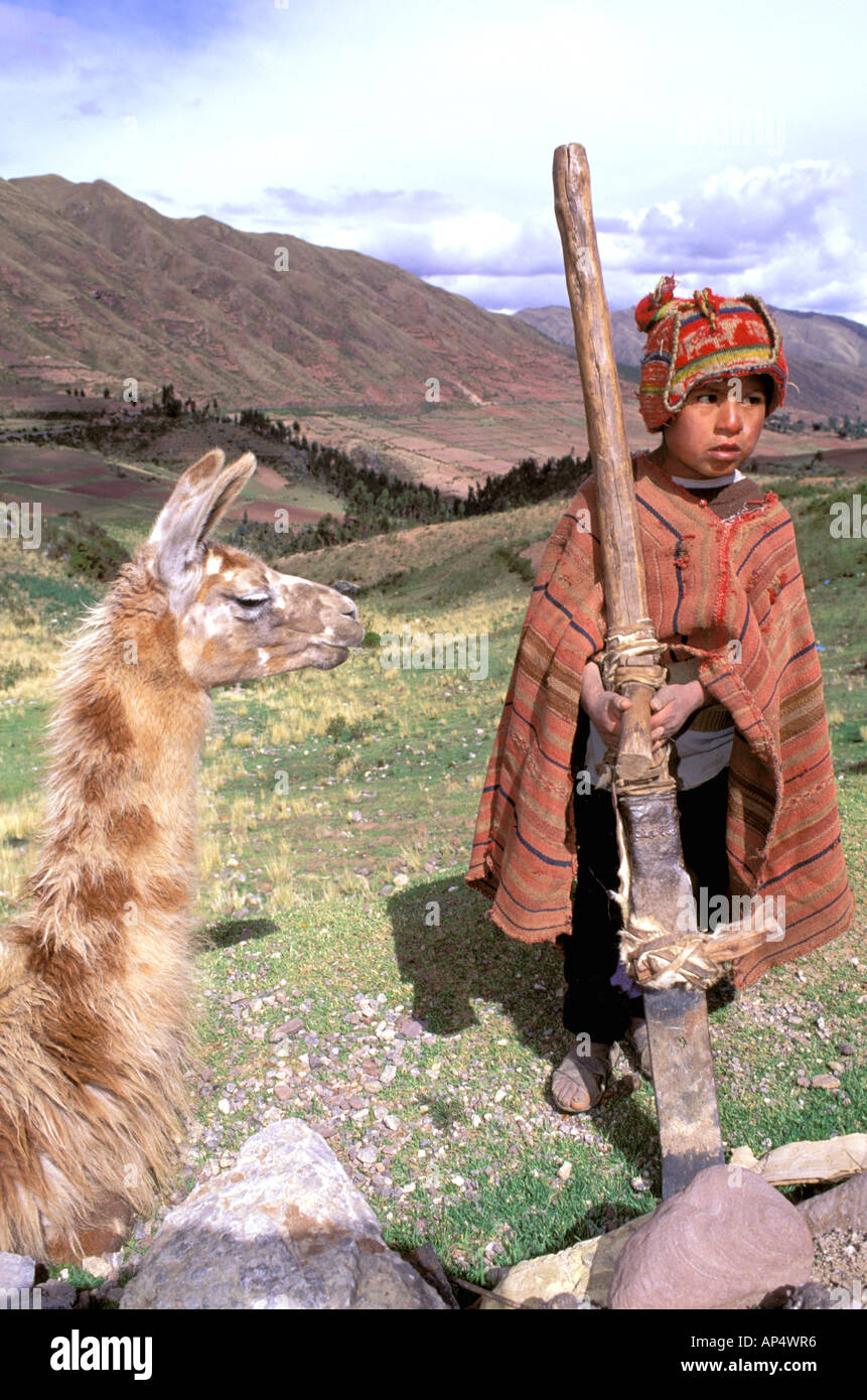 Indian llama herder hi-res stock photography and images - Alamy