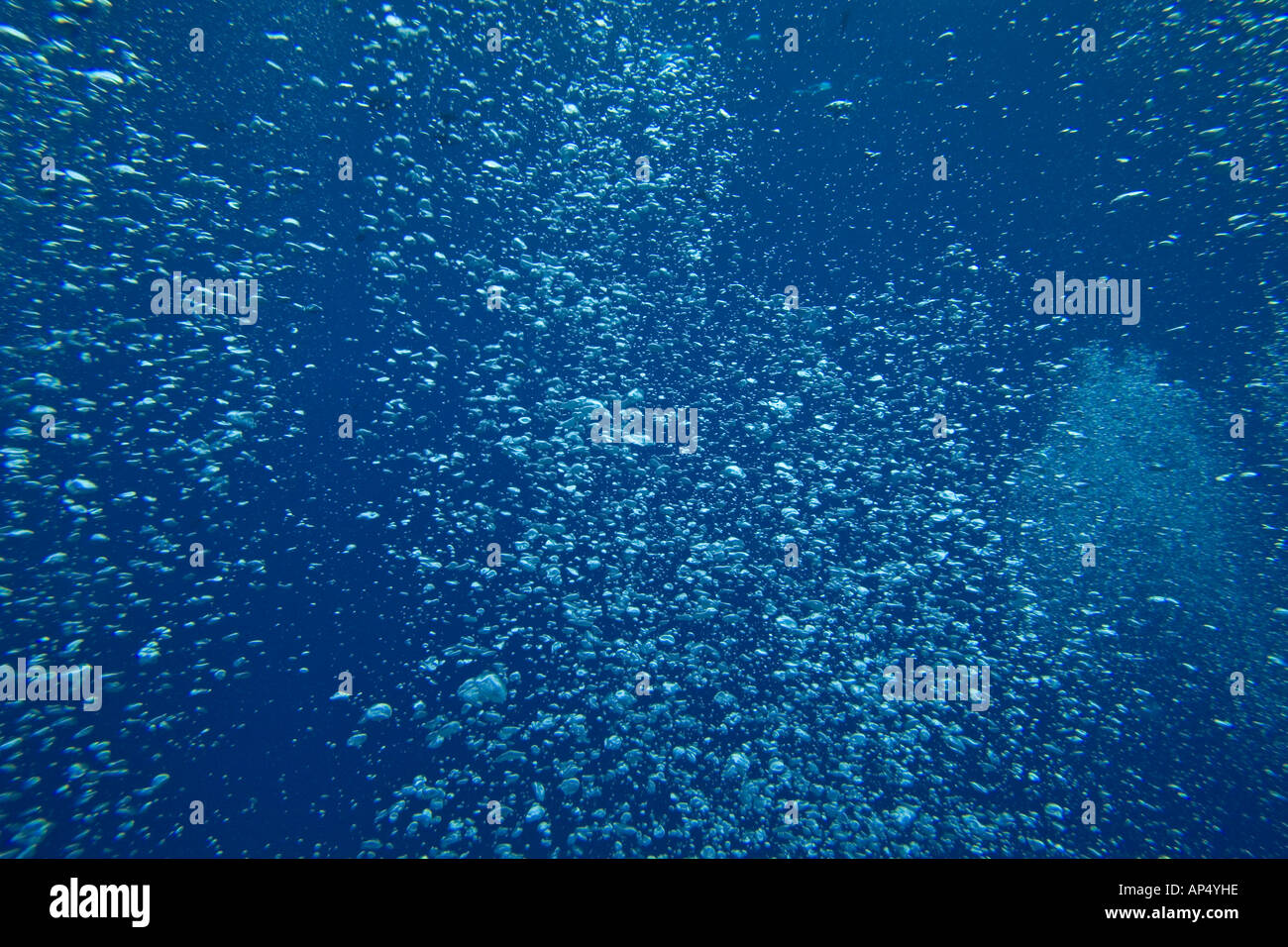 Bubbles rising through clear blue ocean water, Hawaii Stock Photo - Alamy