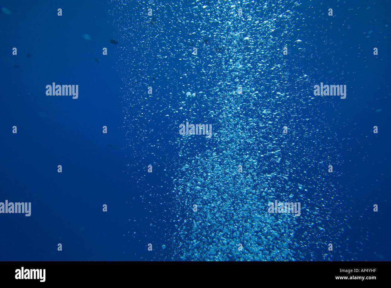 Bubbles rising through clear blue ocean water, Hawaii Stock Photo - Alamy
