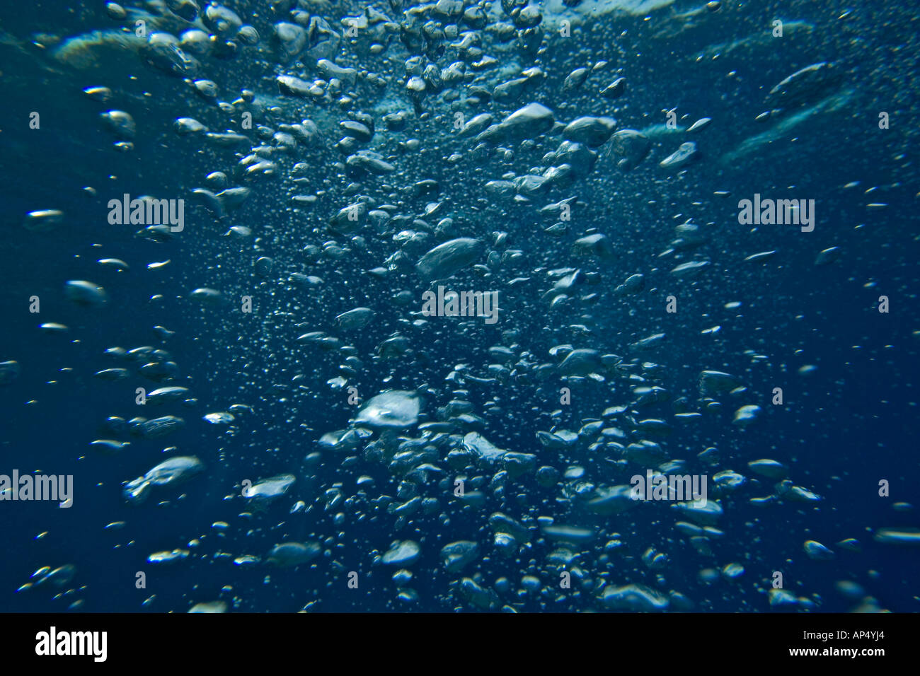 Bubbles rising through clear blue ocean water, Hawaii Stock Photo - Alamy