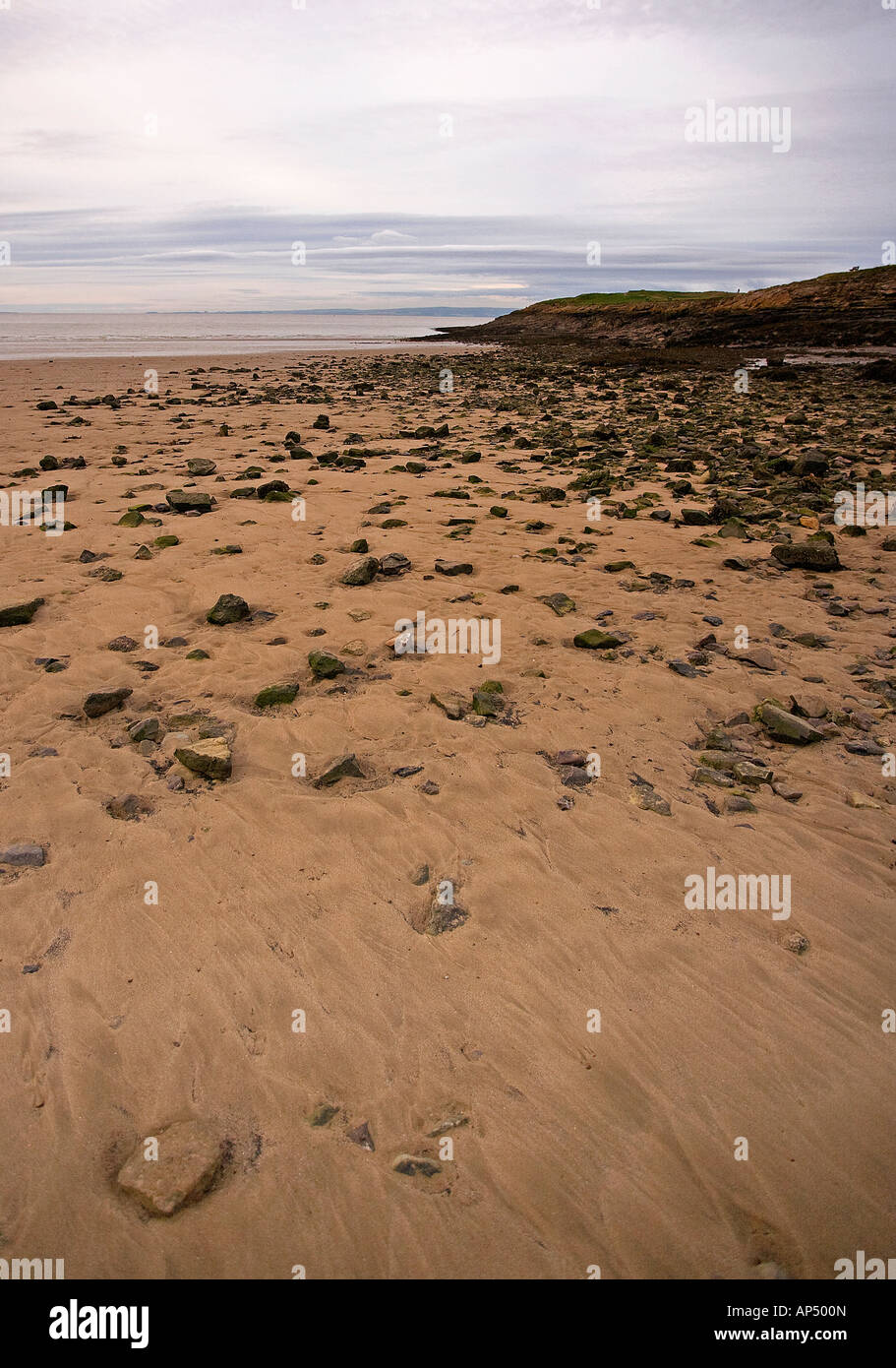 Rock strewn beach early Morning Stock Photo - Alamy