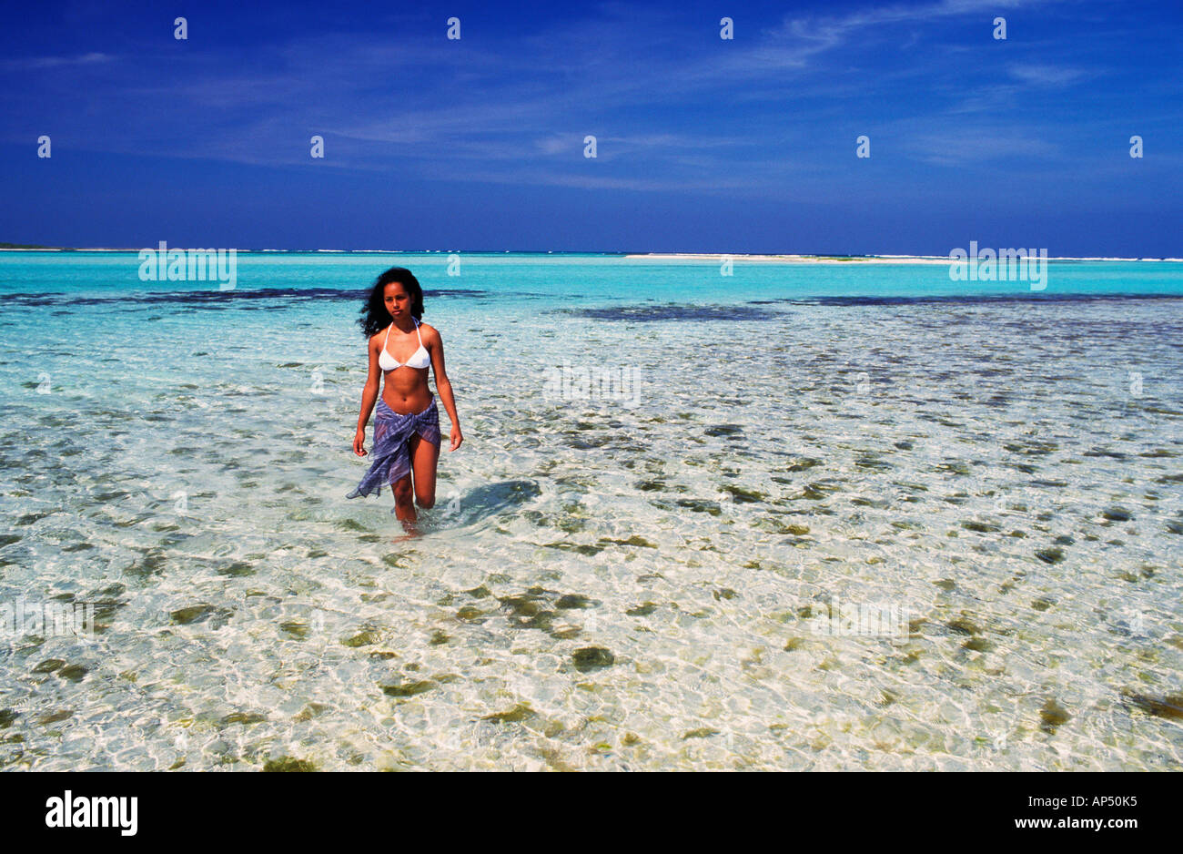 Venezuela, Los Roques, Francisqui (MR Stock Photo - Alamy