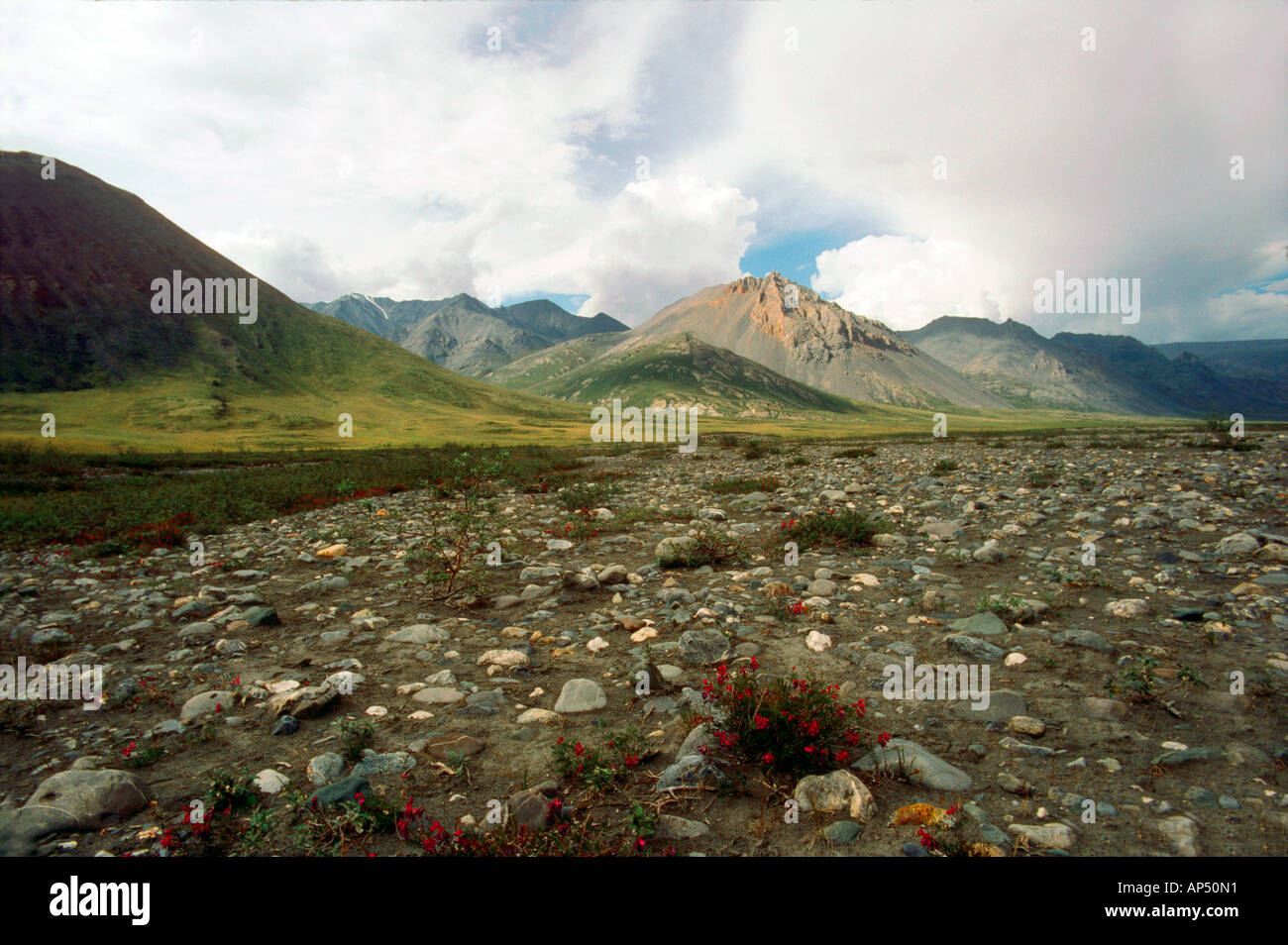 Brooks range mts hi-res stock photography and images - Alamy