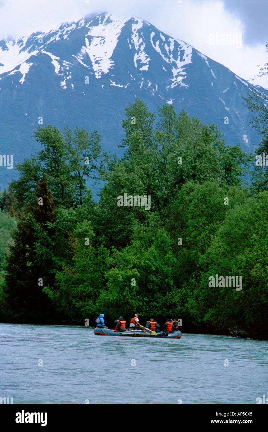 North America, United States, Alaska, Haynes, Chilkat Bald Eagle ...