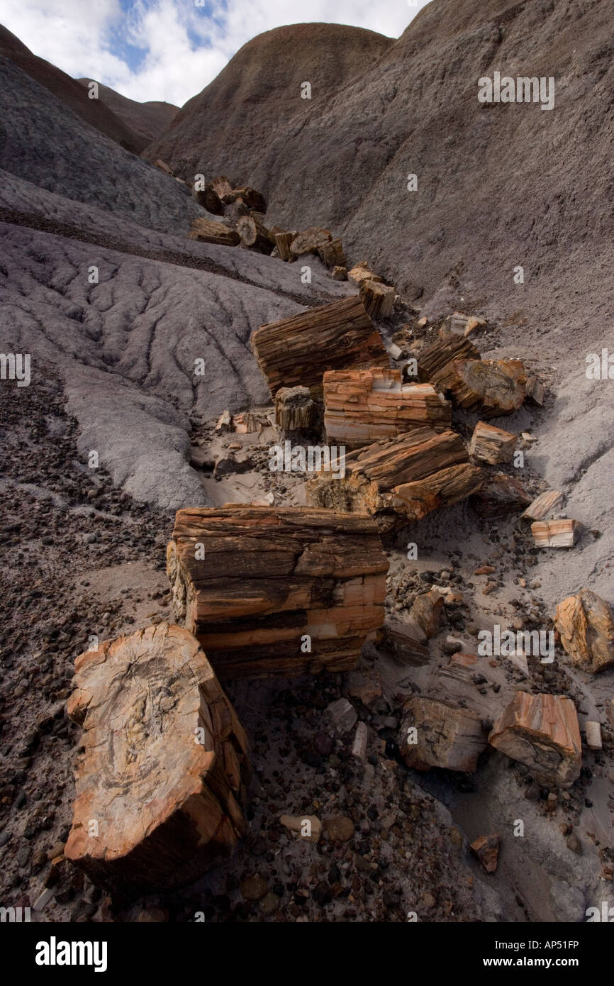 Triassic Era High Resolution Stock Photography and Images - Alamy