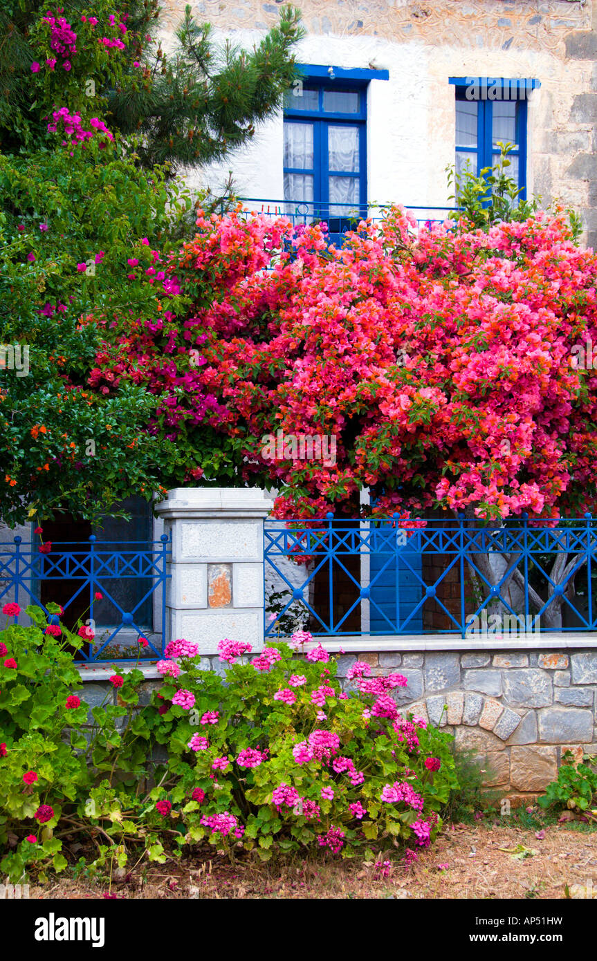Bougainvillea and a variety of spring flowers adorn the fences gates ...