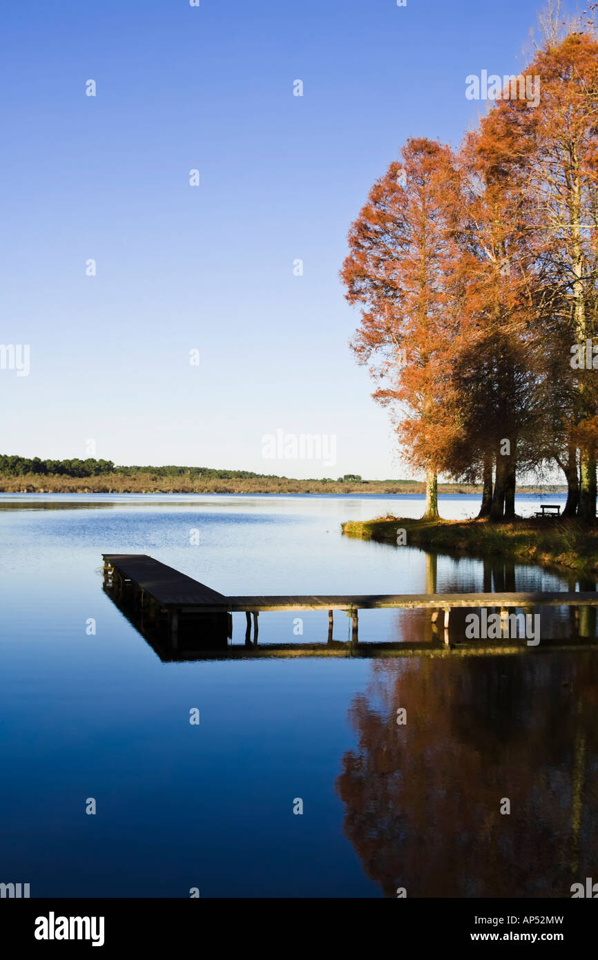 Autumn scenery shot next to a lake. Vertical shots Stock Photo - Alamy