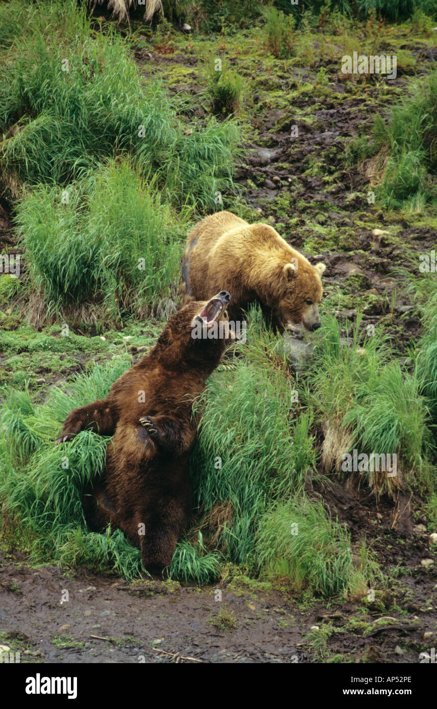 Mcneil family hi-res stock photography and images - Alamy