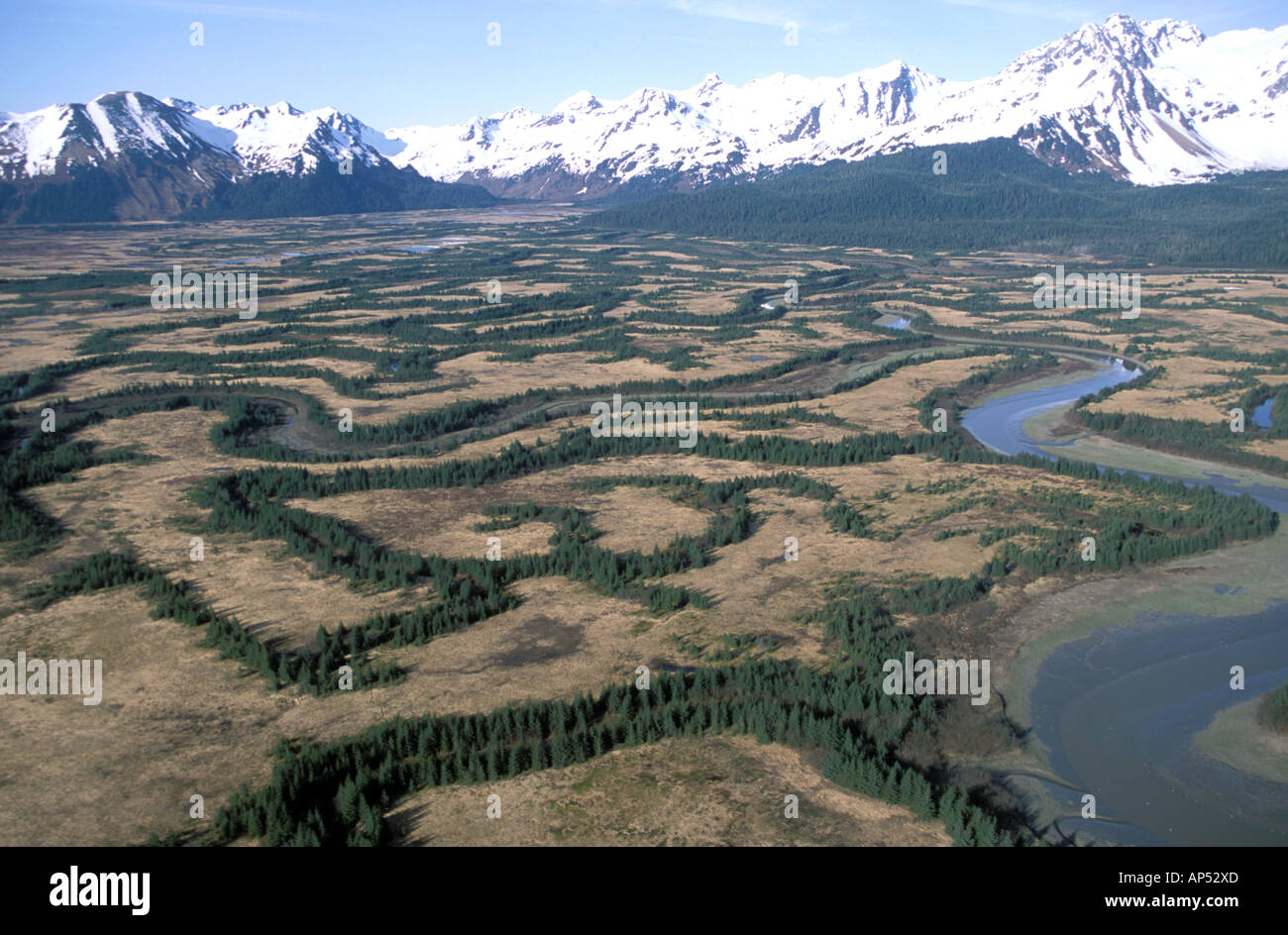 North America, USA, Alaska, Chugach Mountains. Tidal levees from before ...