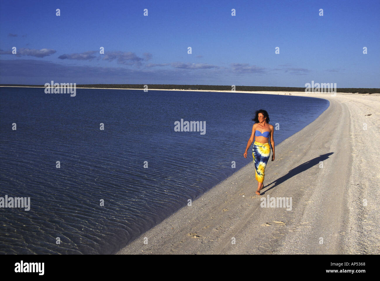 Shark bay australia shells hi-res stock photography and images - Alamy
