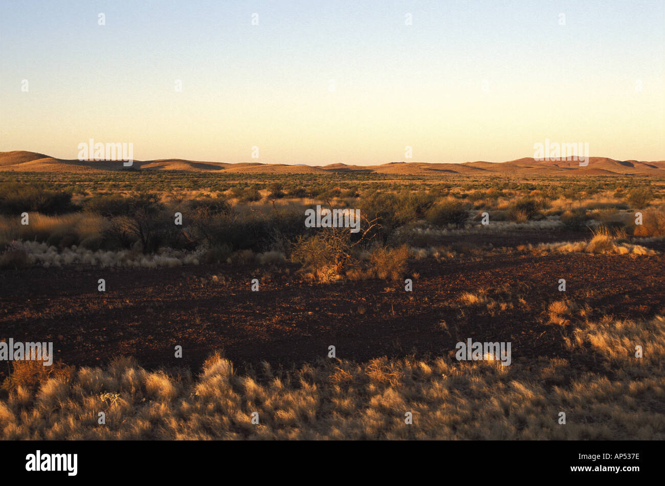 Australia Western Australia Pilbara Road to Tom price Bush Copyright ...