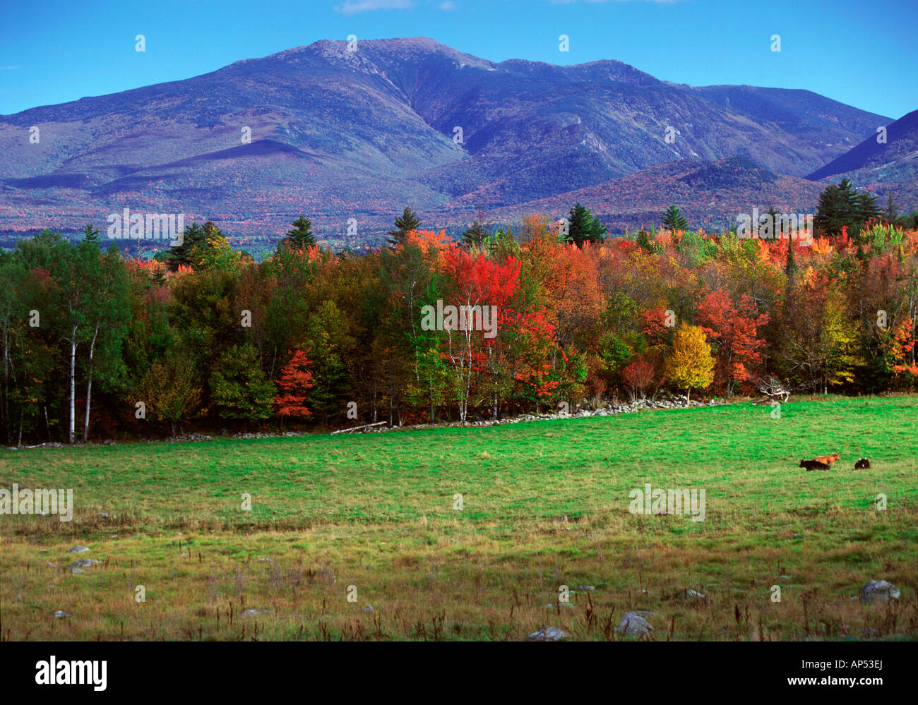 Mt lafayette hi-res stock photography and images - Alamy