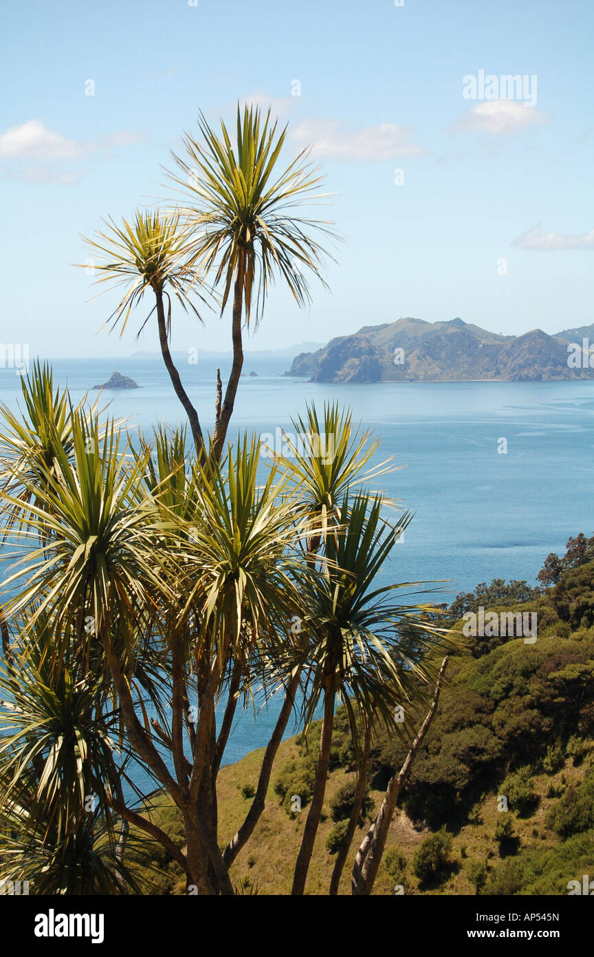 Beautiful views along the Coromandel Walkway Stock Photo - Alamy
