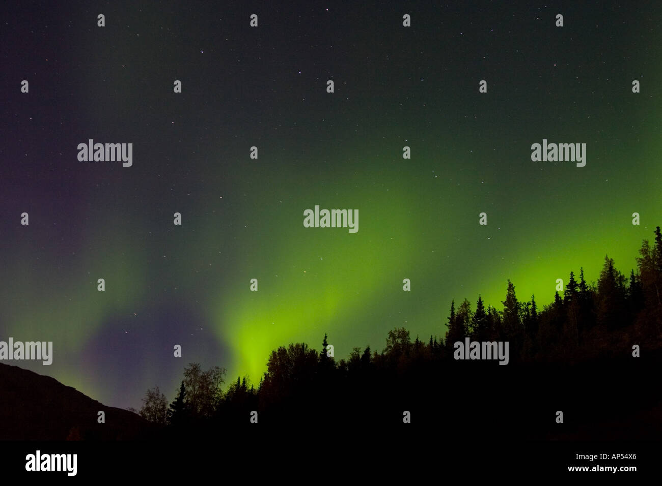 N.A., USA, Alaska. Bright display of the Northern lights Stock Photo ...