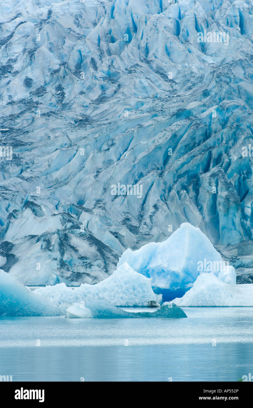 Iceberg and Mendenhall Glacier, Juneau, Alaska USA Stock Photo - Alamy