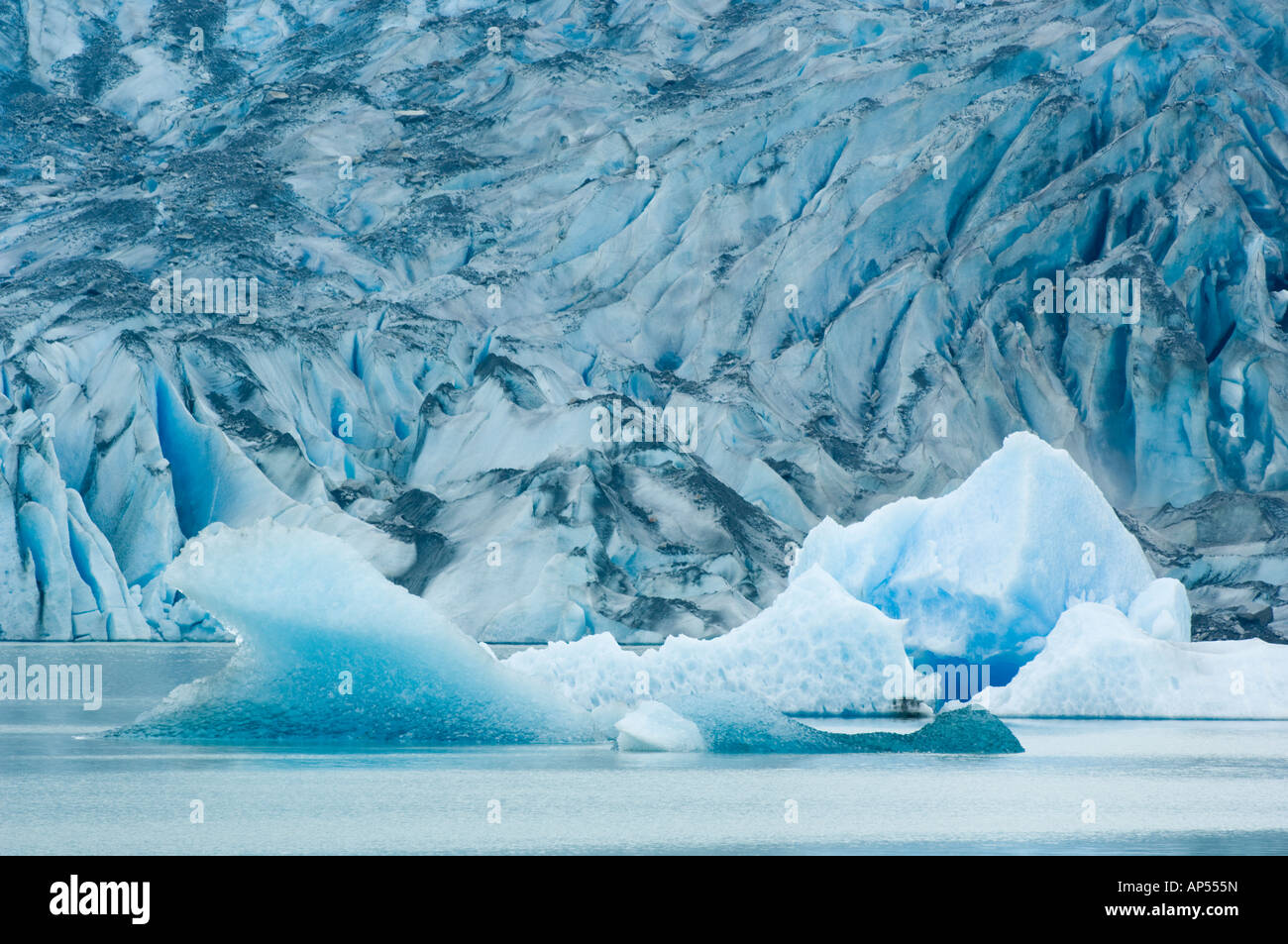 Iceberg and Mendenhall Glacier, Juneau, Alaska USA Stock Photo - Alamy