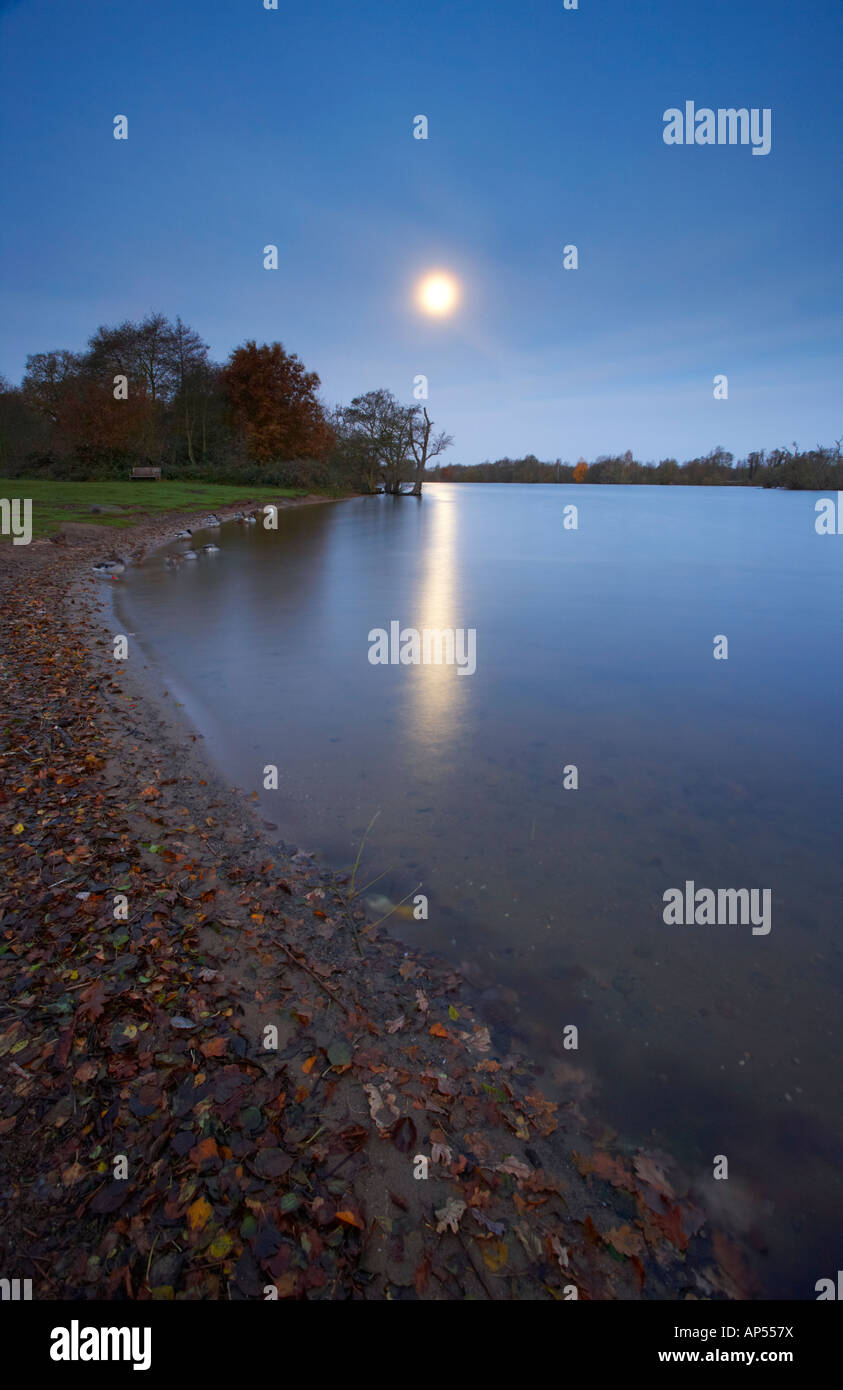 Salhouse Broad on an autumn morning in the Norfolk Broads Stock Photo ...