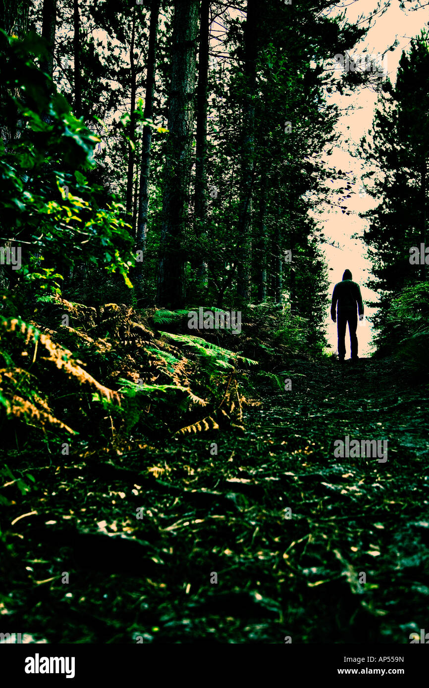 Scary Woodland Path Stock Photos & Scary Woodland Path Stock Images - Alamy