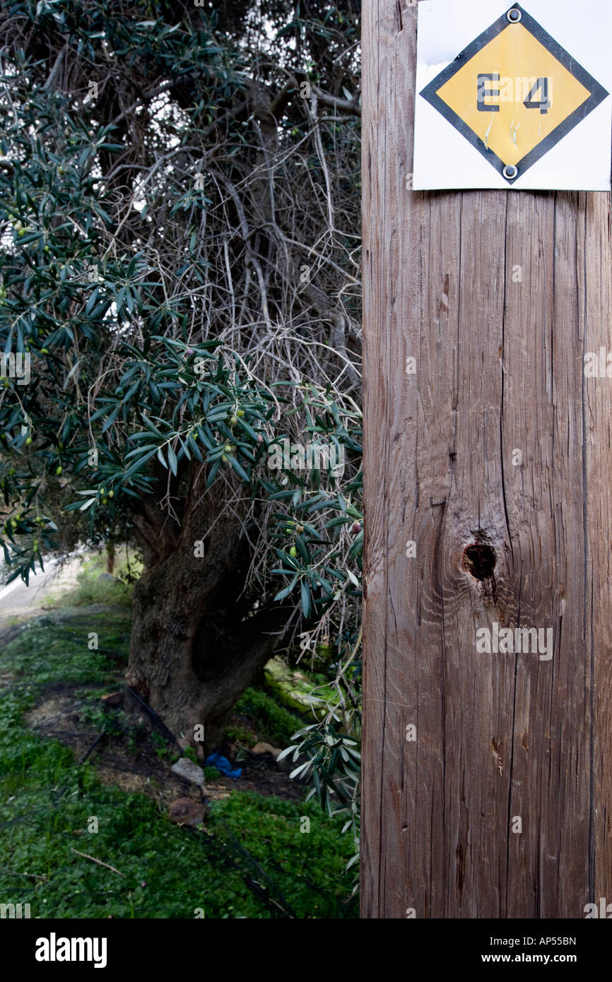 Greece West Crete E4 footpath sign and Oive Tree Stock Photo - Alamy