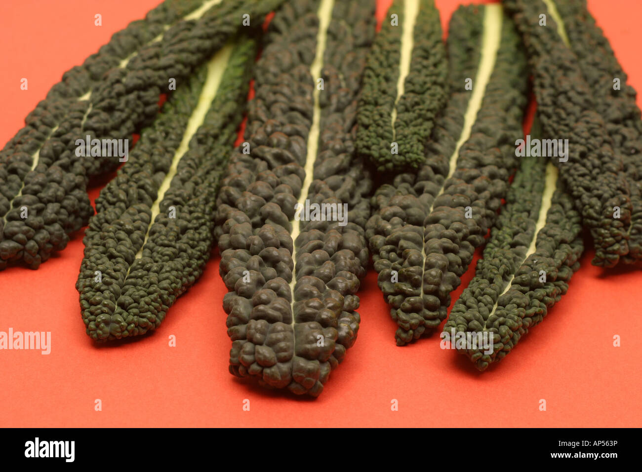 Cavolo nero black cabbage Tuscan kale Stock Photo - Alamy