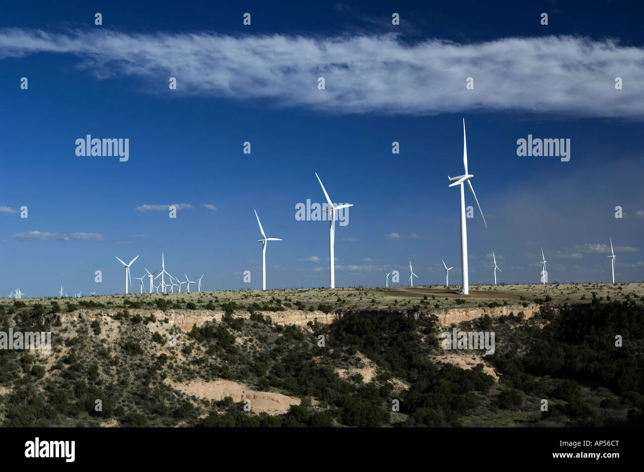 Wind powered turbines on Texas wind farm under a deep blue sky Stock ...