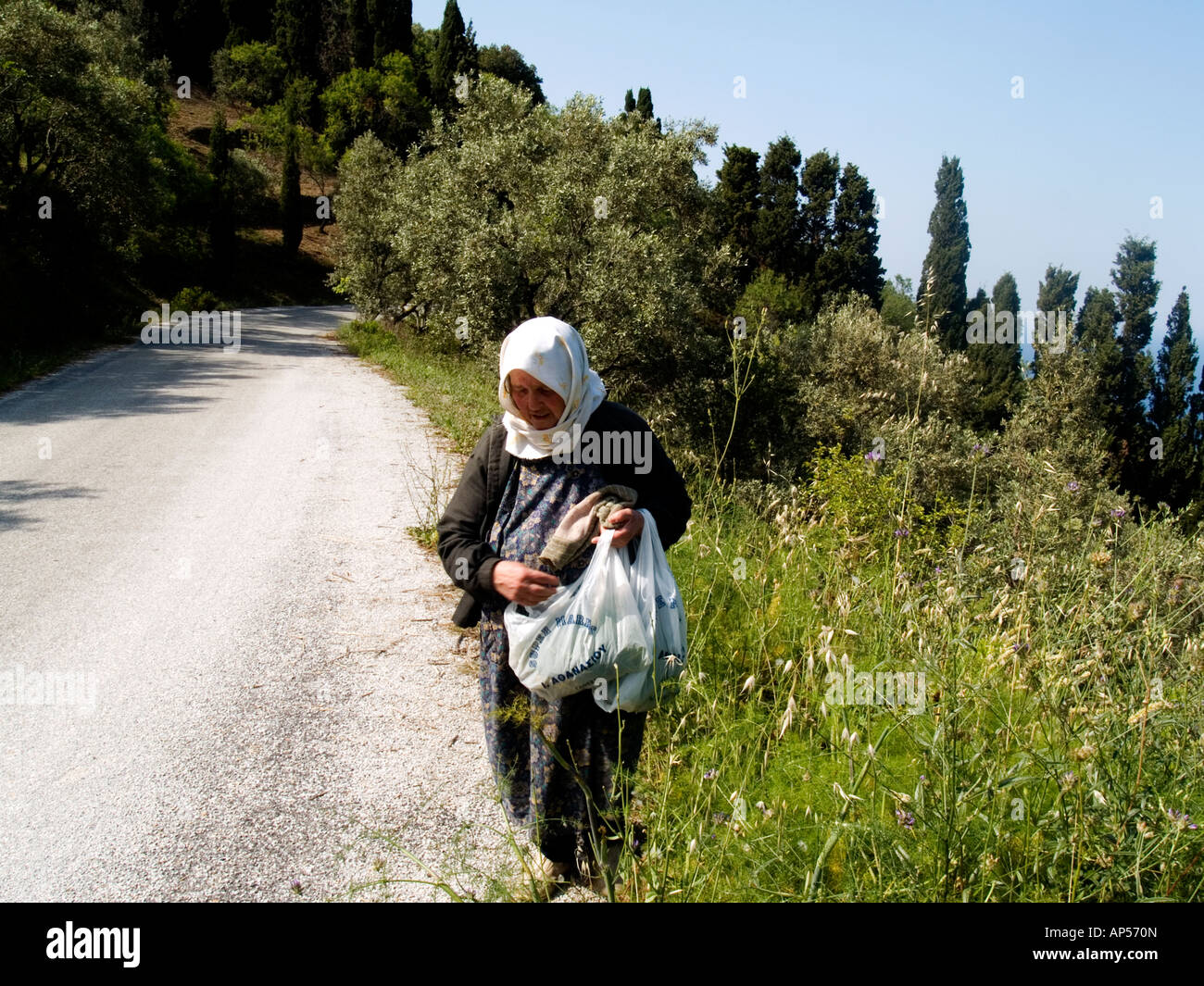 A woman gathering seeds Stock Photo - Alamy