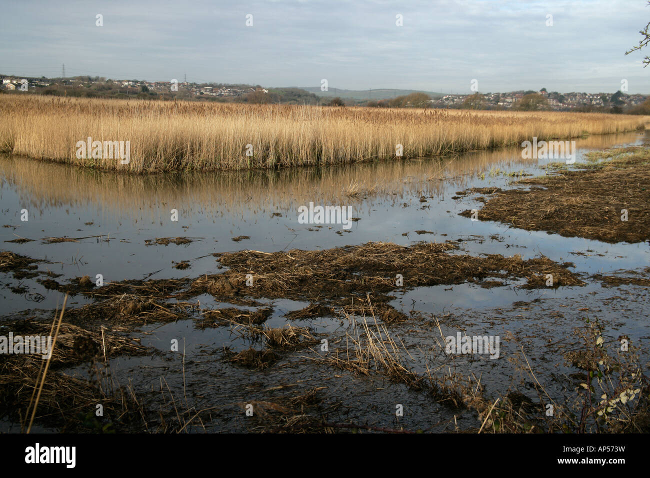 Radipole Lake Dorset RSPB reserve Stock Photo - Alamy