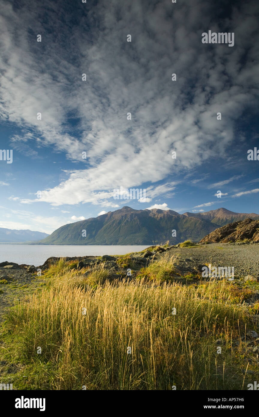 Beluga point hi-res stock photography and images - Alamy