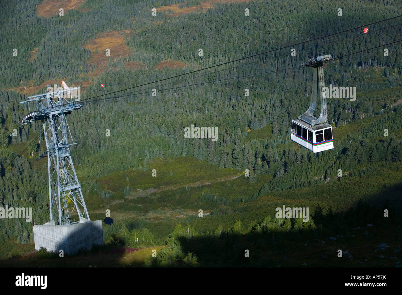 USA, ALASKA, Anchorage Area, GIRDWOOD: Mt. Alyeska Tram & Alyeska ...