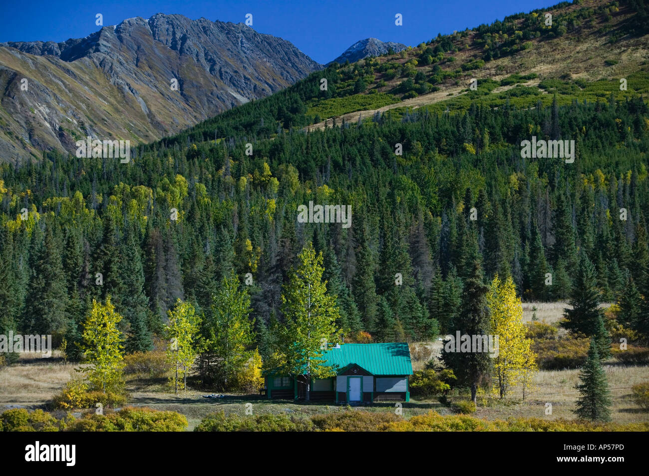 USA, ALASKA, KENAI PENINSULA, SHIELD: Alaskan Cabin along Seward ...
