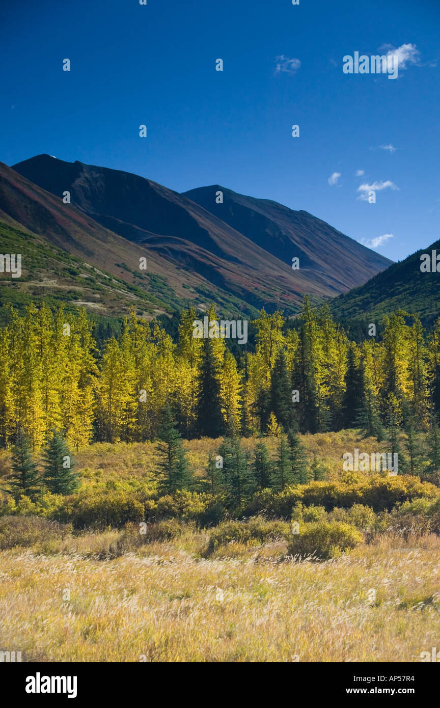 Alaska shield hi-res stock photography and images - Alamy