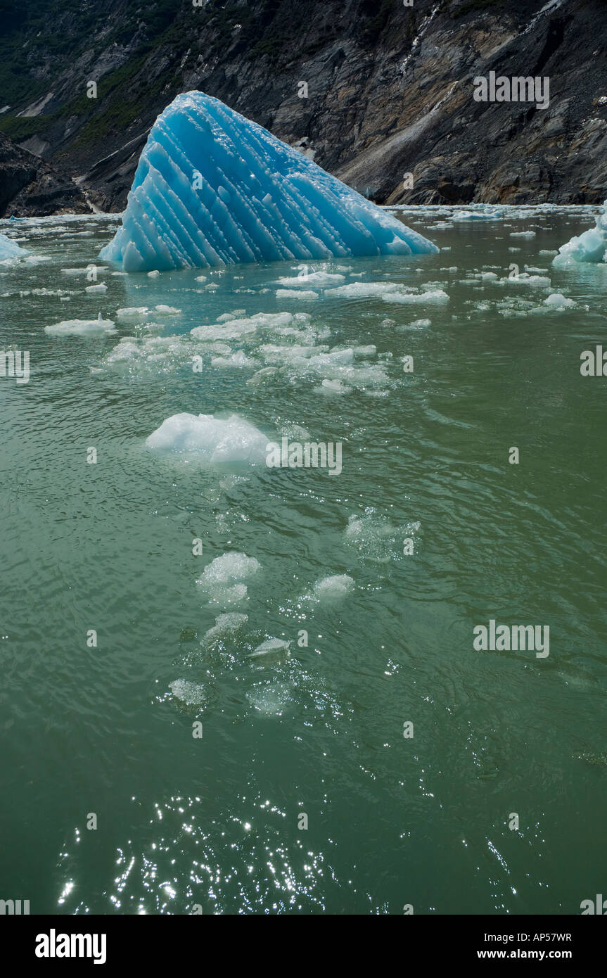 Iceberg, Tracy Arm Fjord, Alaska USA Stock Photo - Alamy