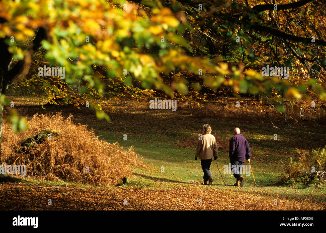 Couple walking in Mark Ash Wood The New Forest Hampshire England UK ...