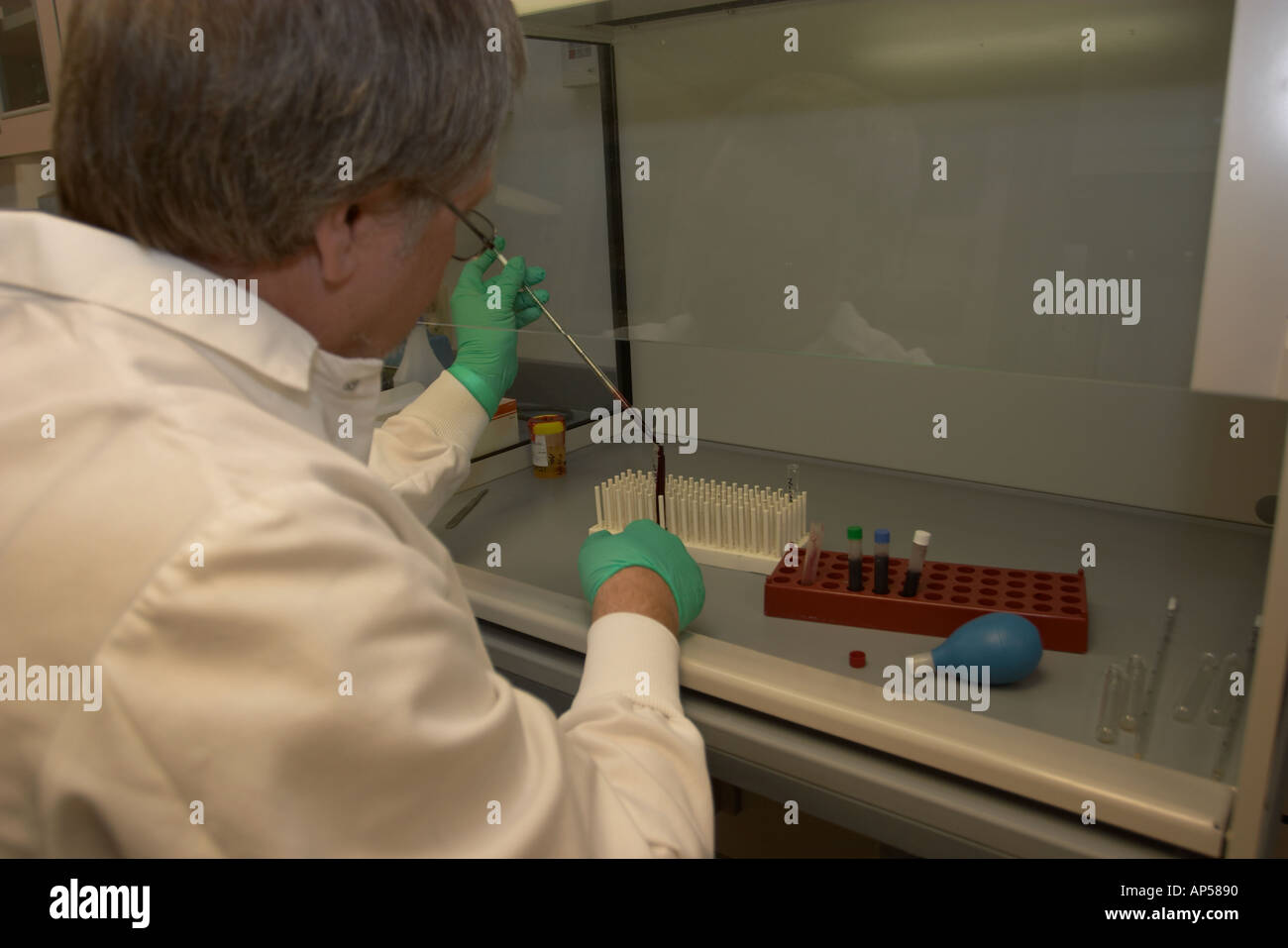 Toxicologist working with testing a blood sample for possible traces of ...