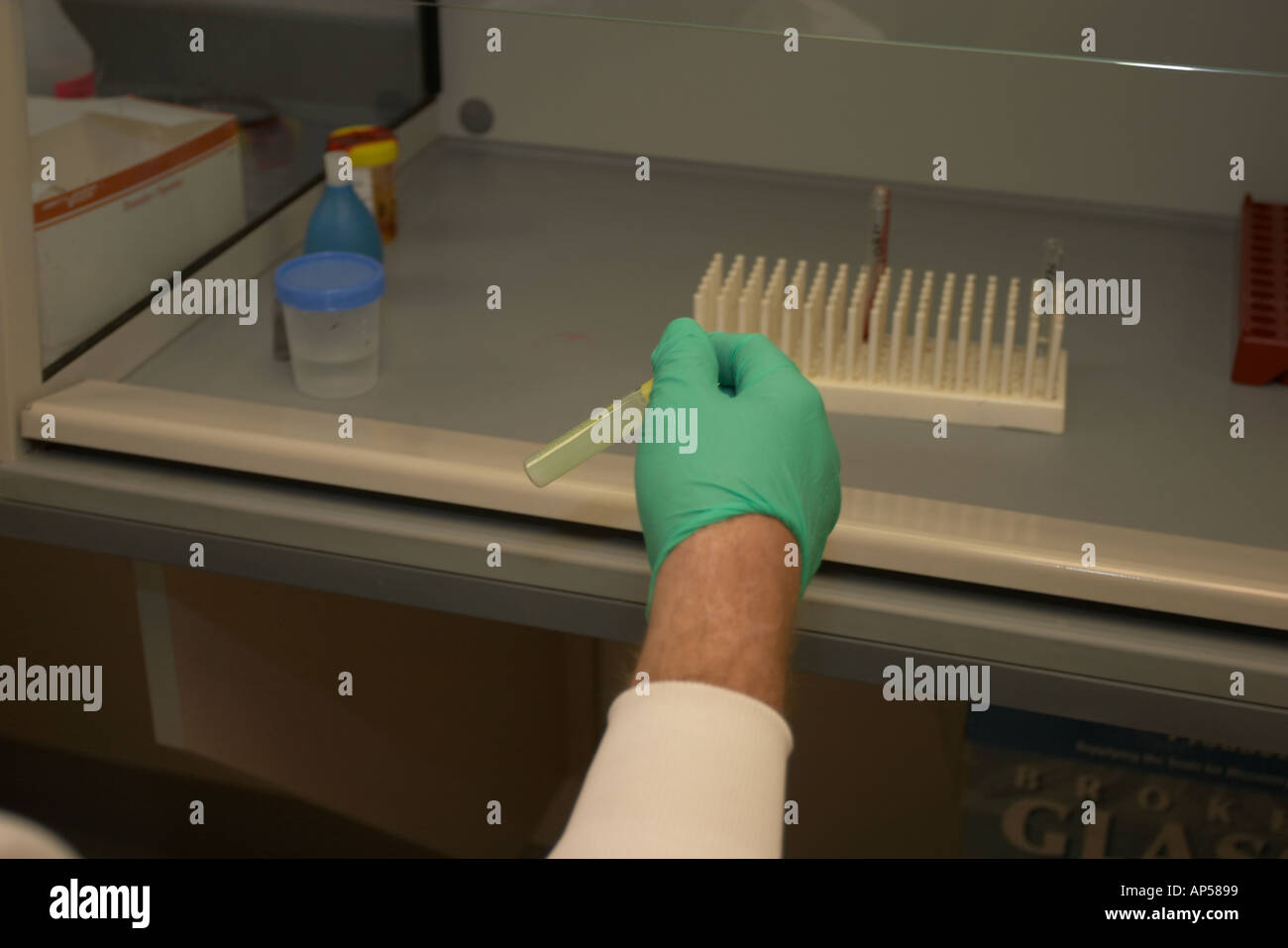 Toxicologist testing blood for traces of poison Stock Photo - Alamy