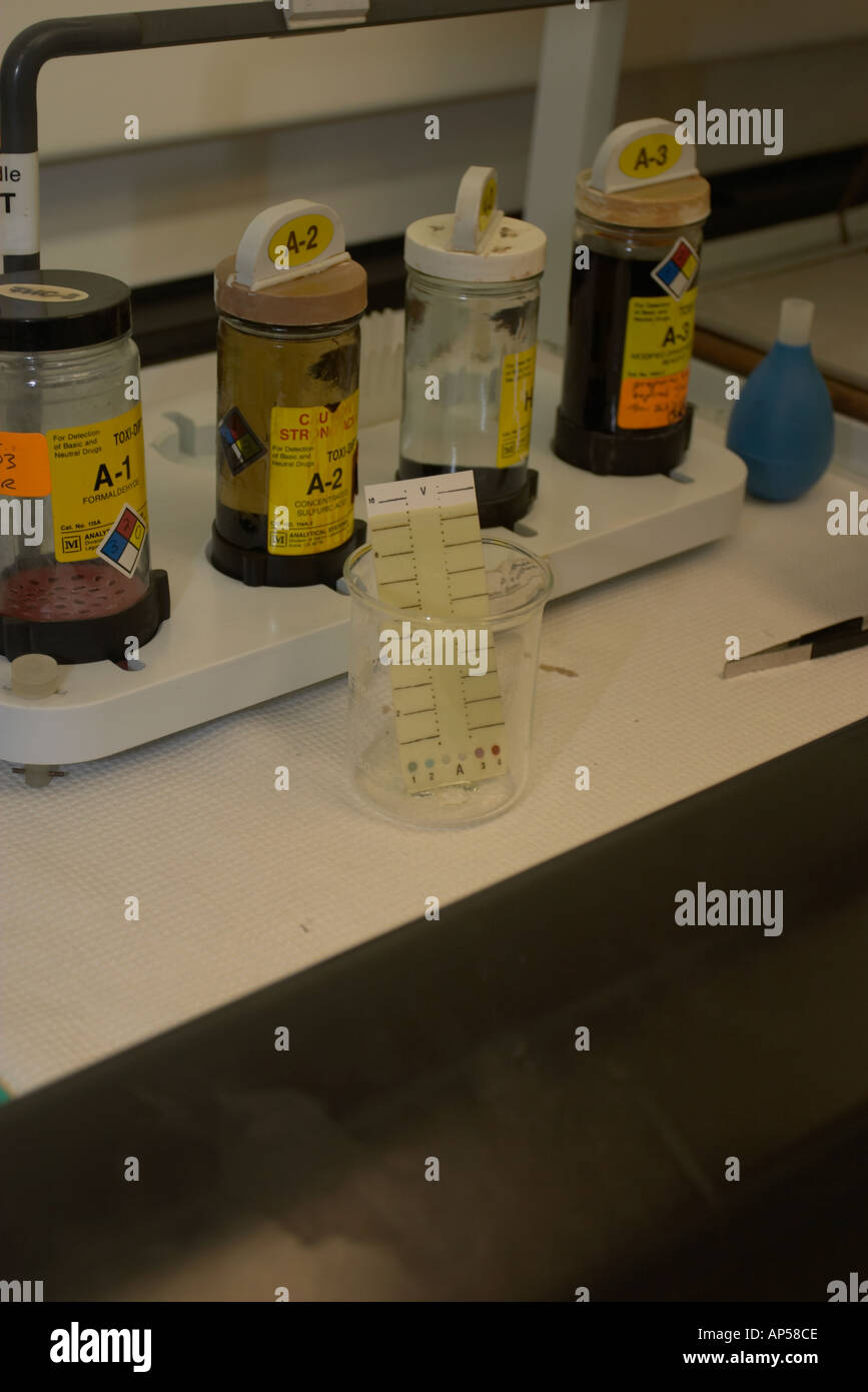 Toxicologist using a Tox Dip to try to determine traces of poison in ...
