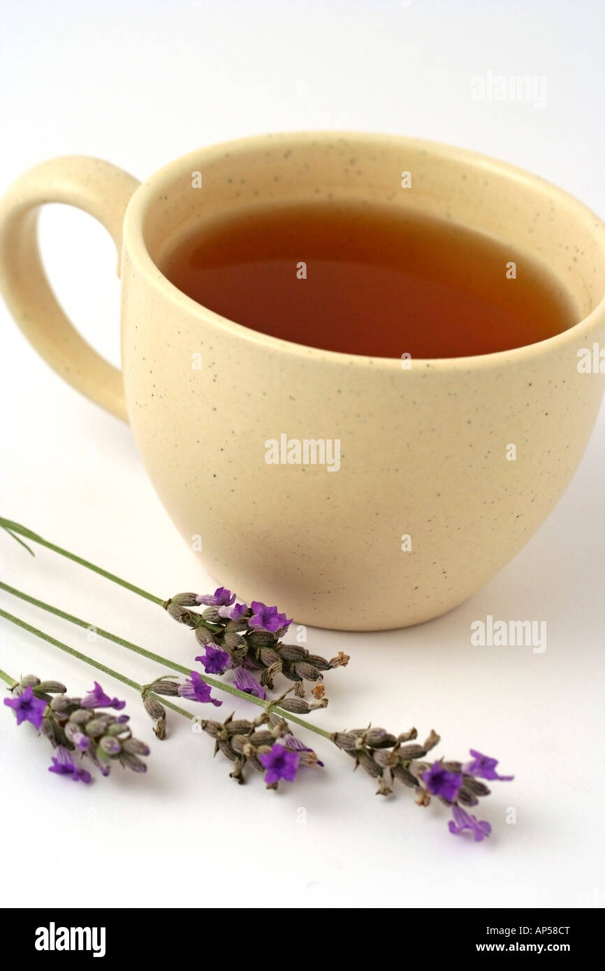 Lavender infusion Lavandula officinalis Stock Photo - Alamy