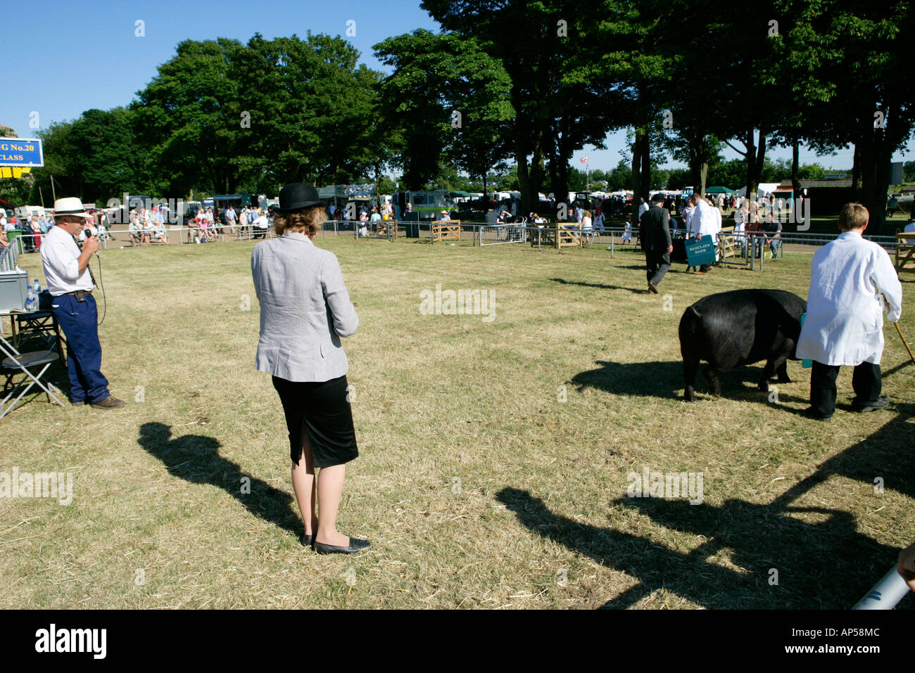 Royal norfolk show animals hi-res stock photography and images - Alamy