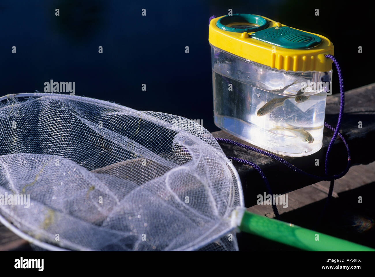 Dipnet and fish caught from dock at lake Tyee Lake Provincial Park ...