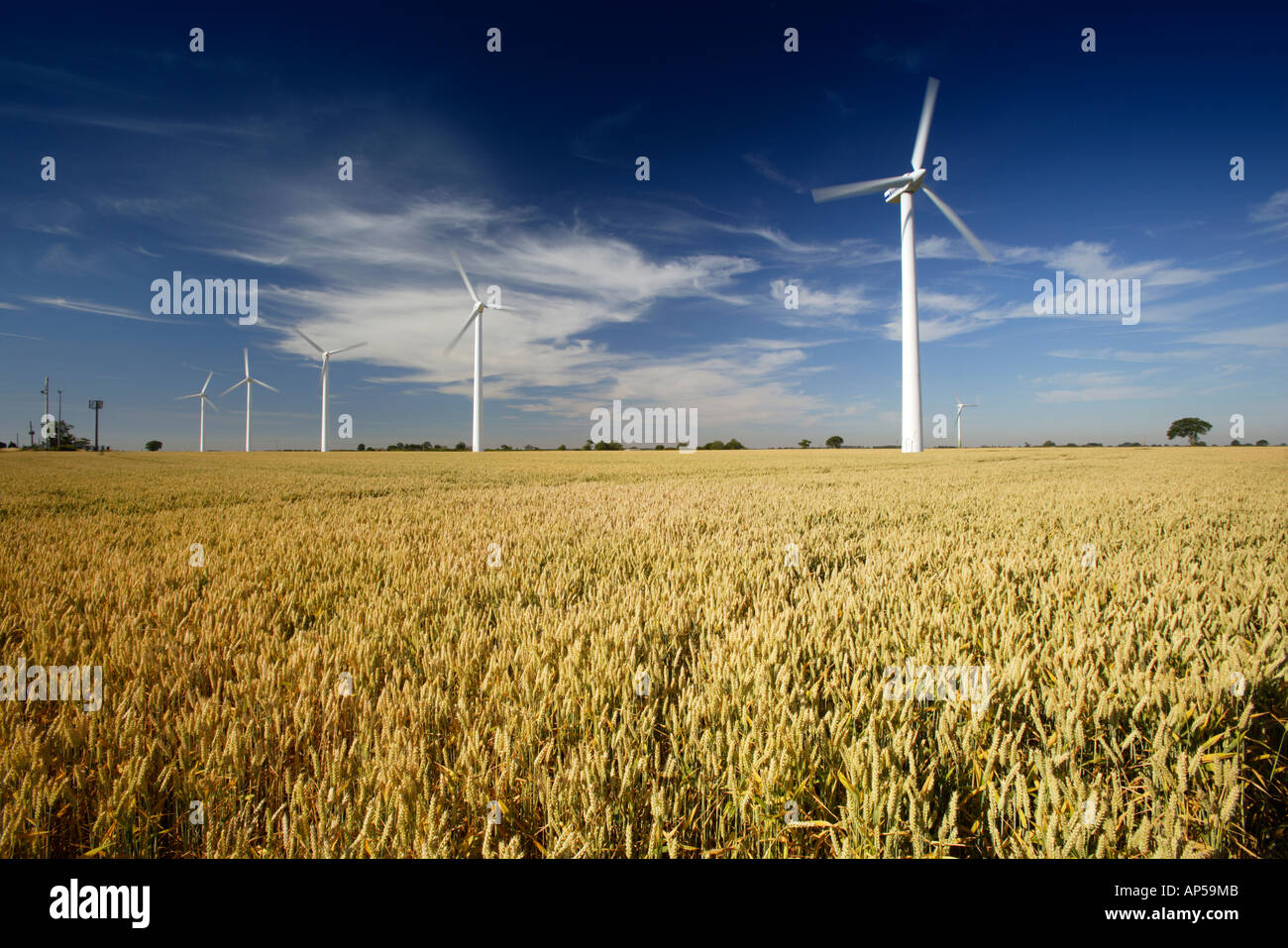 Wind Turbines And Wheat Field Norfolk UK Stock Photo - Alamy