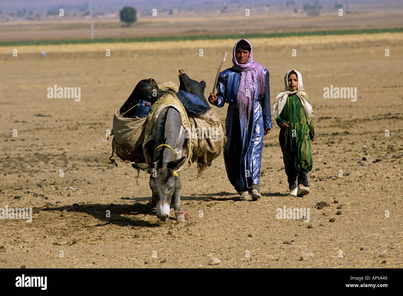 Iran Kermanshah province Kurdish nomad people Stock Photo - Alamy