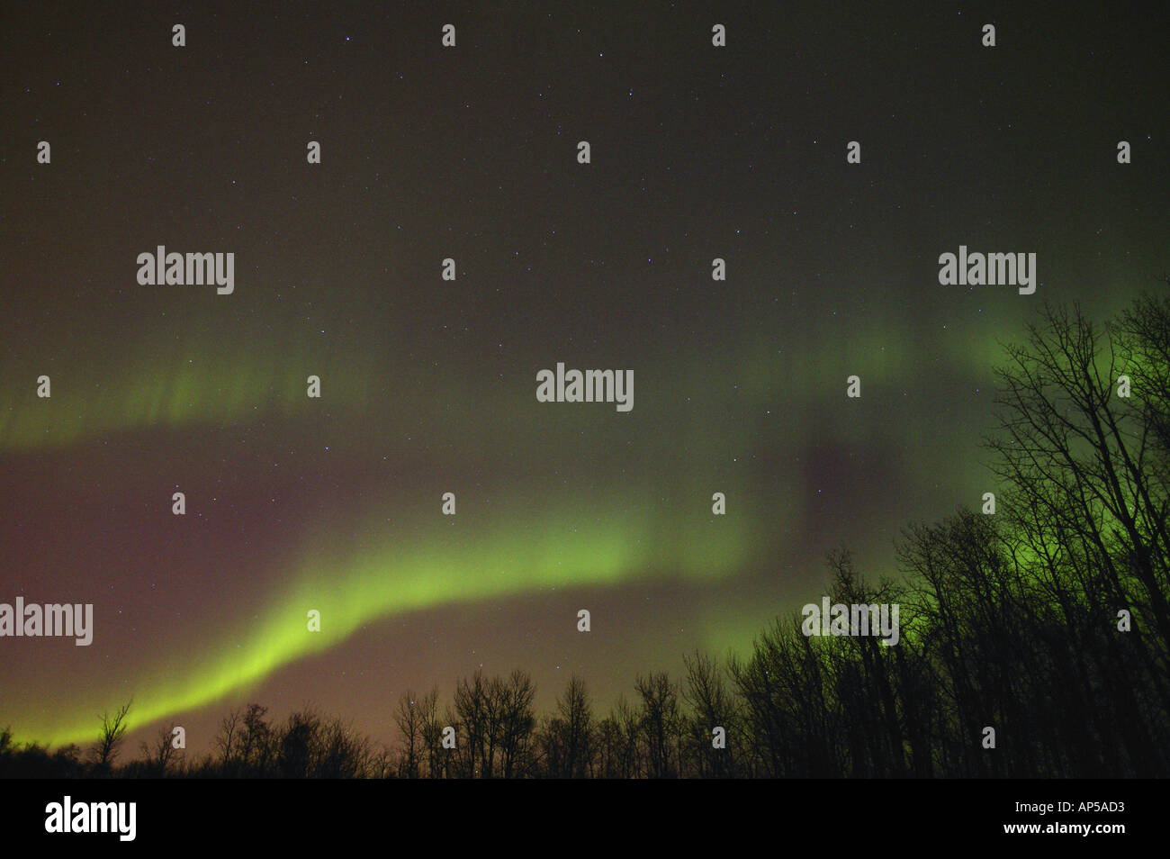 Edmonton canada stars hi-res stock photography and images - Alamy