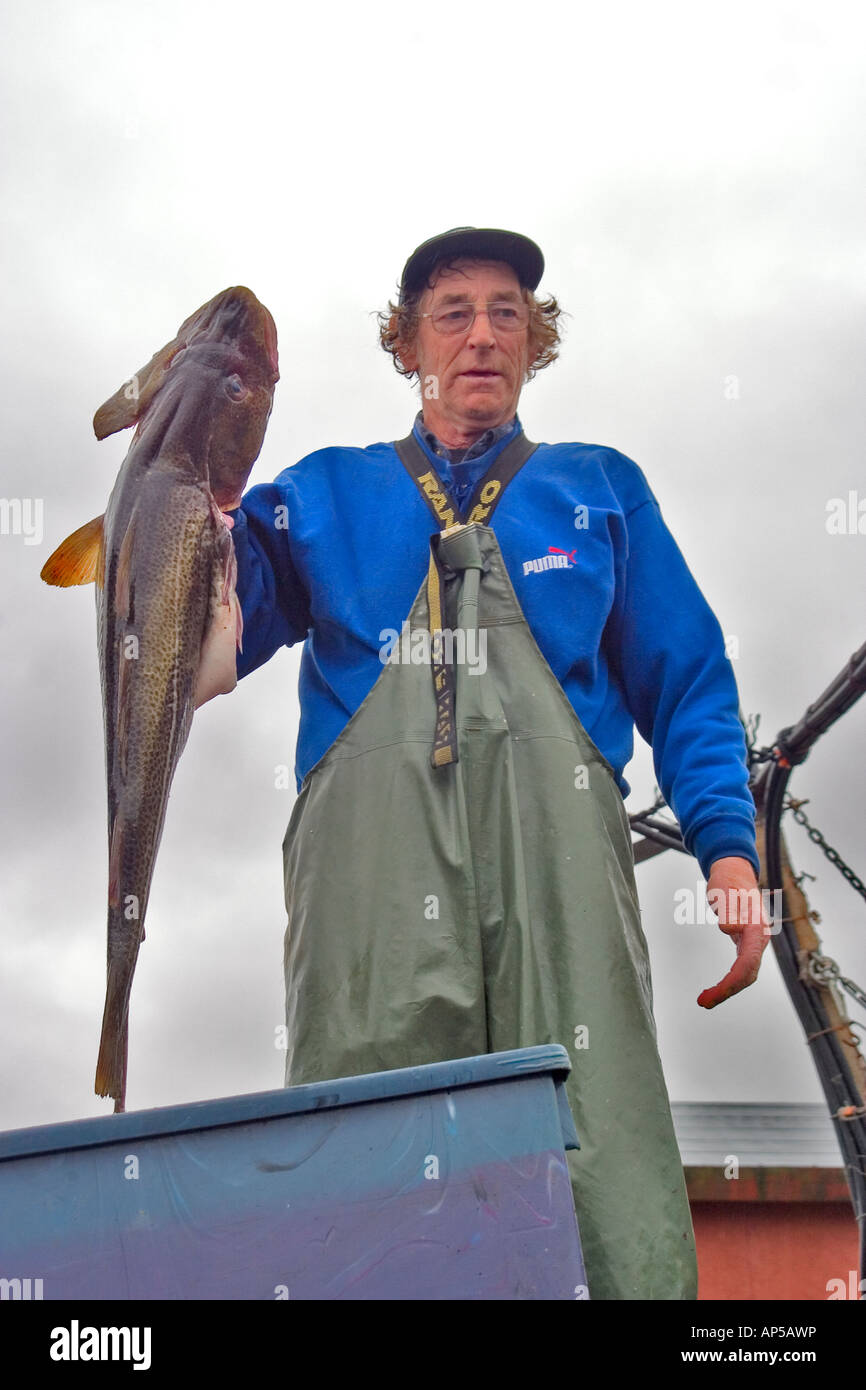 Local fishermen and a catch of fresh cod Cox Cove Bay of Islands ...