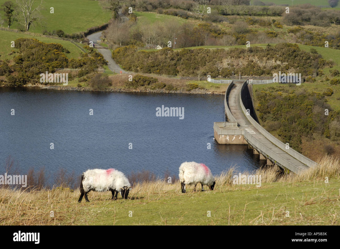 Meldon reservoir and dam in Dartmoor National Park Devon England Stock ...